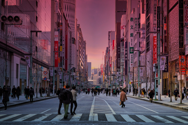 【CSS】@supportsでブラウザ対応状況を判別して条件分岐させる方法 | WebDev Tech